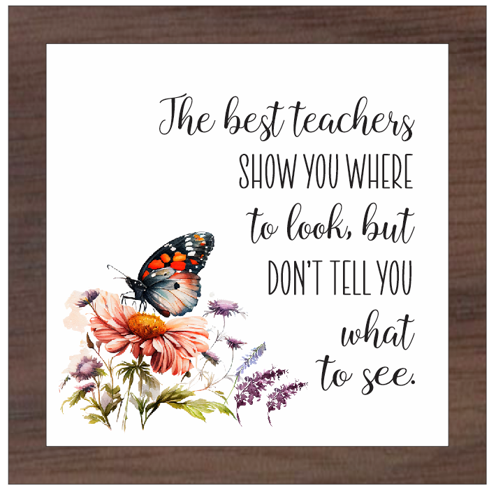 The Best Teachers Show You Where to Look – Willow Hill Designs