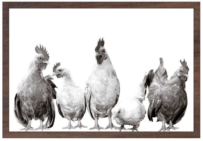 Vintage Row of Chickens – Willow Hill Designs