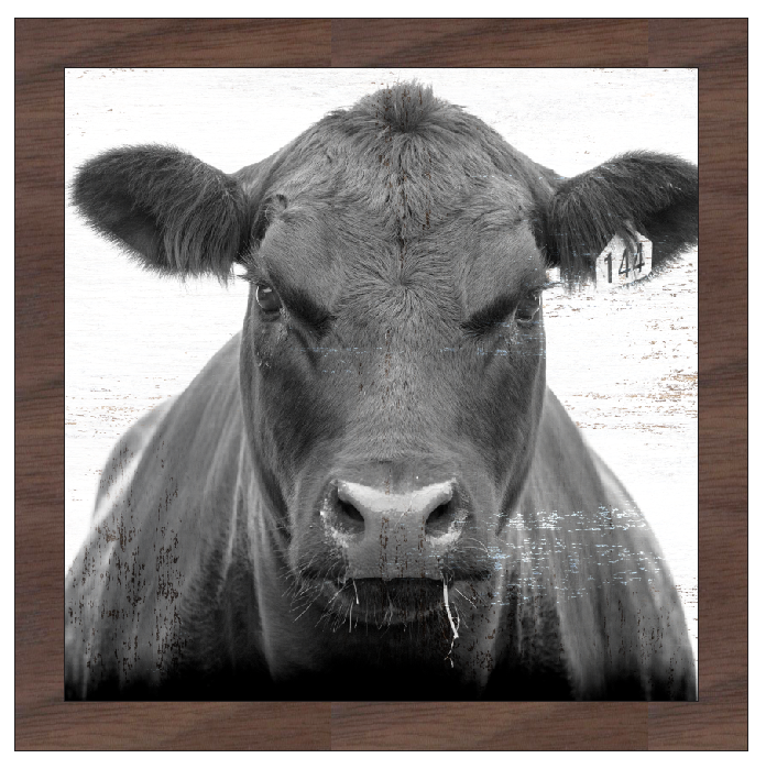 Donna The Black Angus Boss – Willow Hill Designs